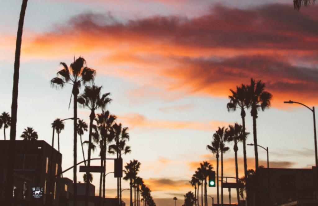 Free Wave Funk loops