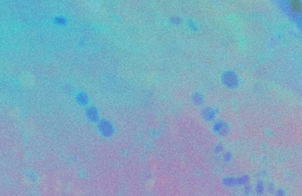 Electronic sample pack by producer pat pardy