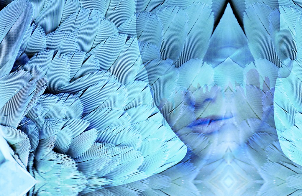 Wonky Hip Hop Sample Pack | Royalty Free Analogue Synth samples