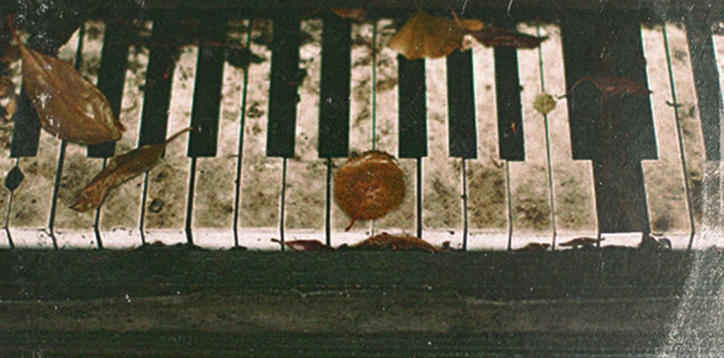 Free sample pack sourced from tropics piano pack